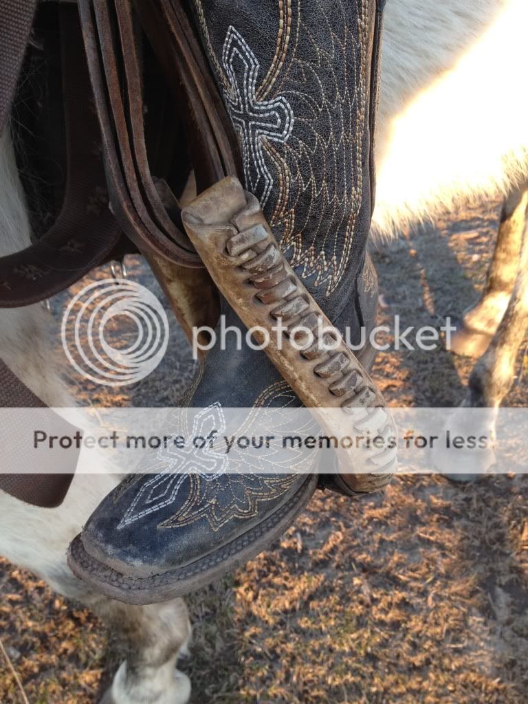 New to us Nathan lamb saddle | The Horse Forum